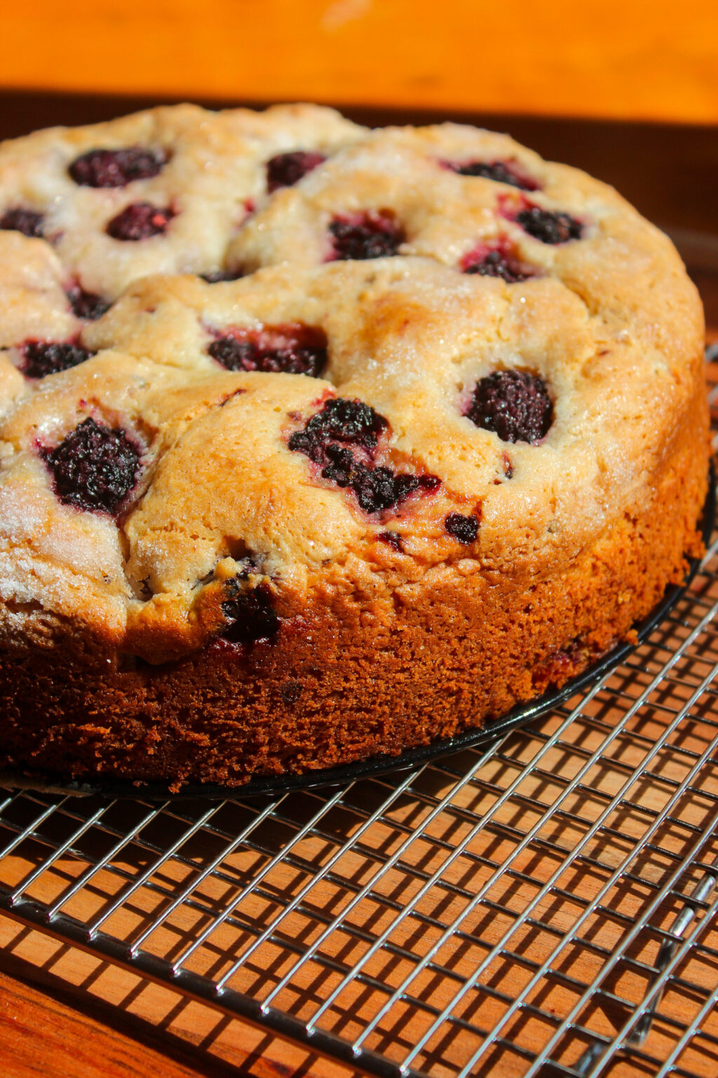 Blackberry Lemon Cake - Taffey Bakery