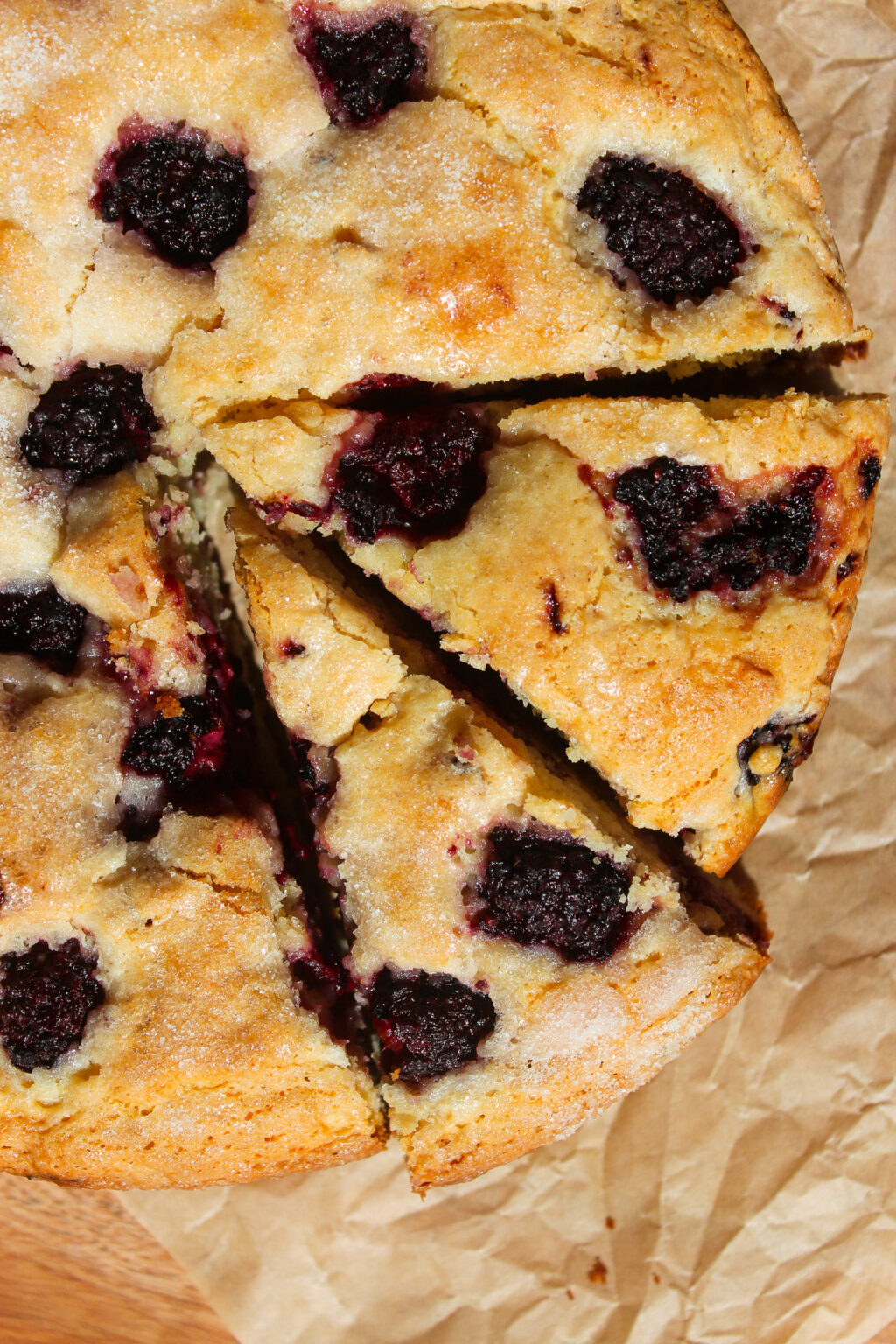 Blackberry Lemon Cake - Taffey Bakery