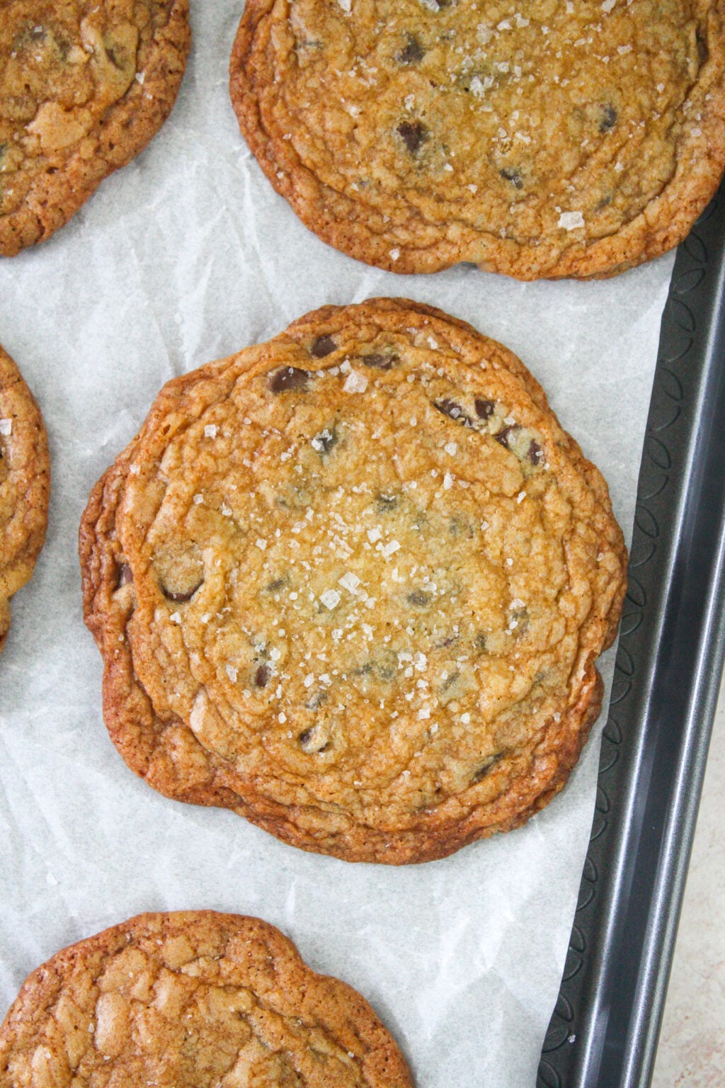 Thin and Crispy Chocolate Chip Cookies - Taffey Bakery