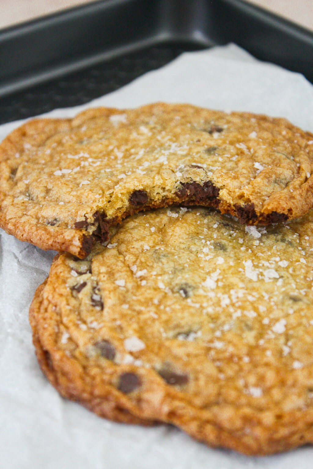 Thin and Crispy Chocolate Chip Cookies - Taffey Bakery