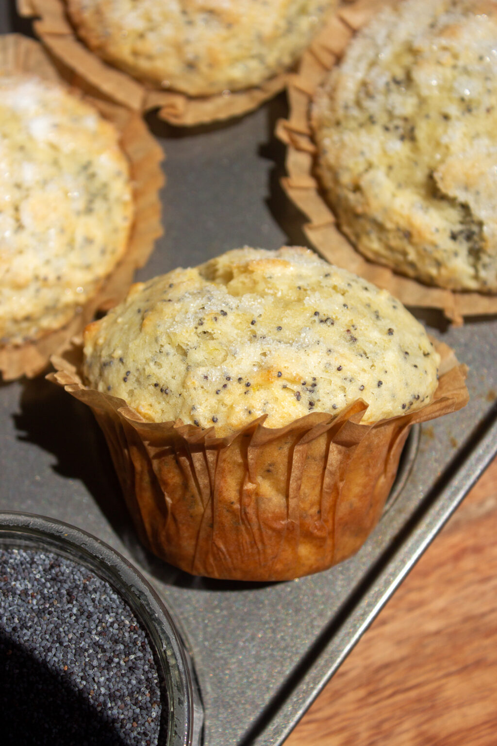 Lemon Poppyseed Ricotta Muffins - Taffey Bakery