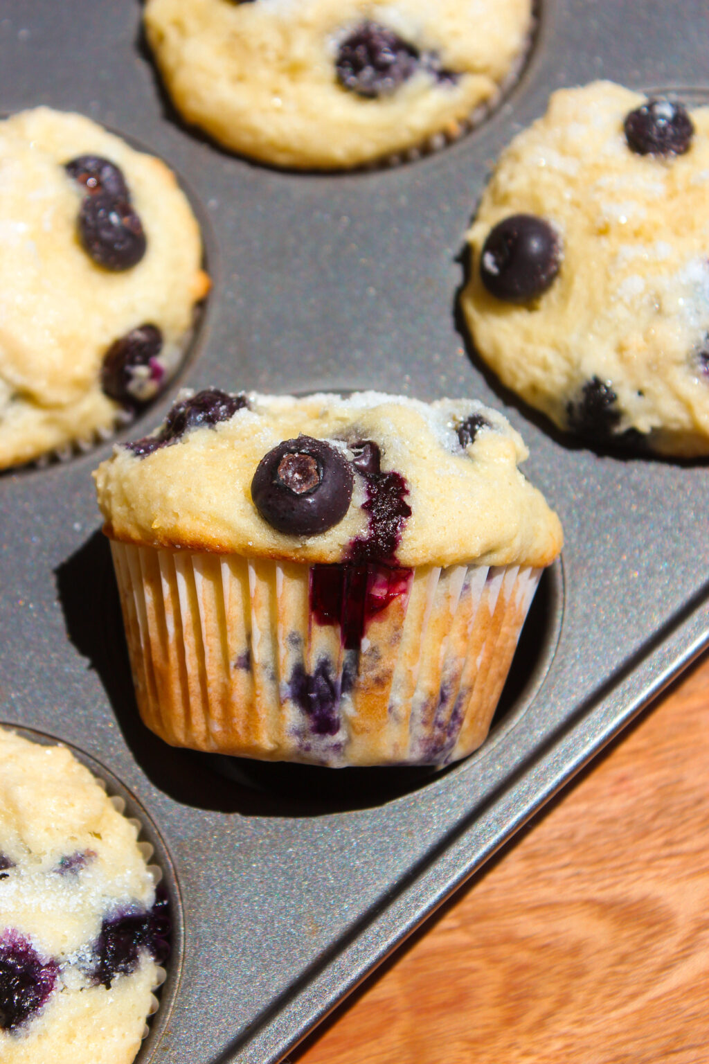 Lemon Blueberry Ricotta Muffins - Taffey Bakery