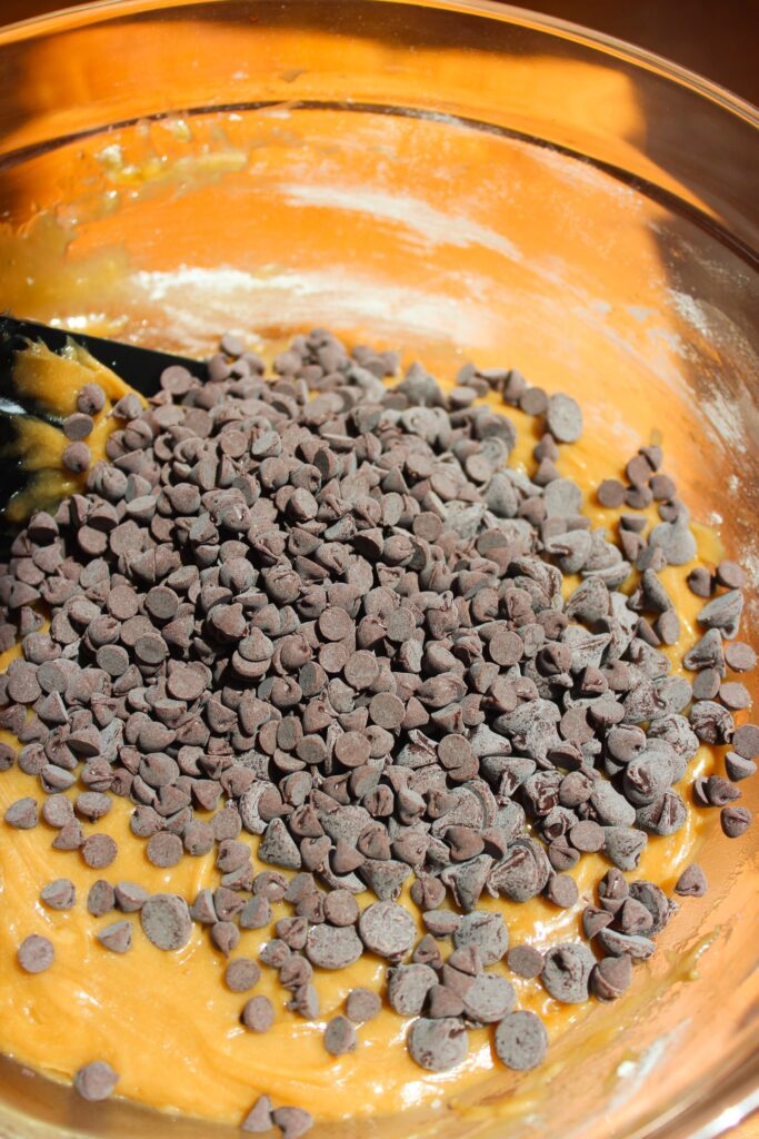 Chocolate Chip Bars - Taffey Bakery