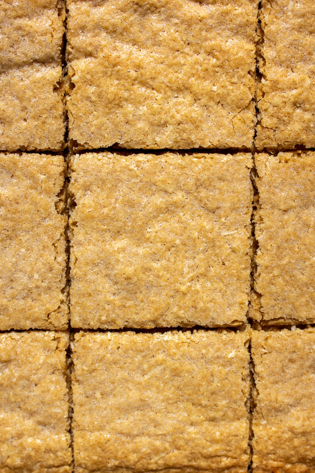 Chewy Coconut Bars - Taffey Bakery