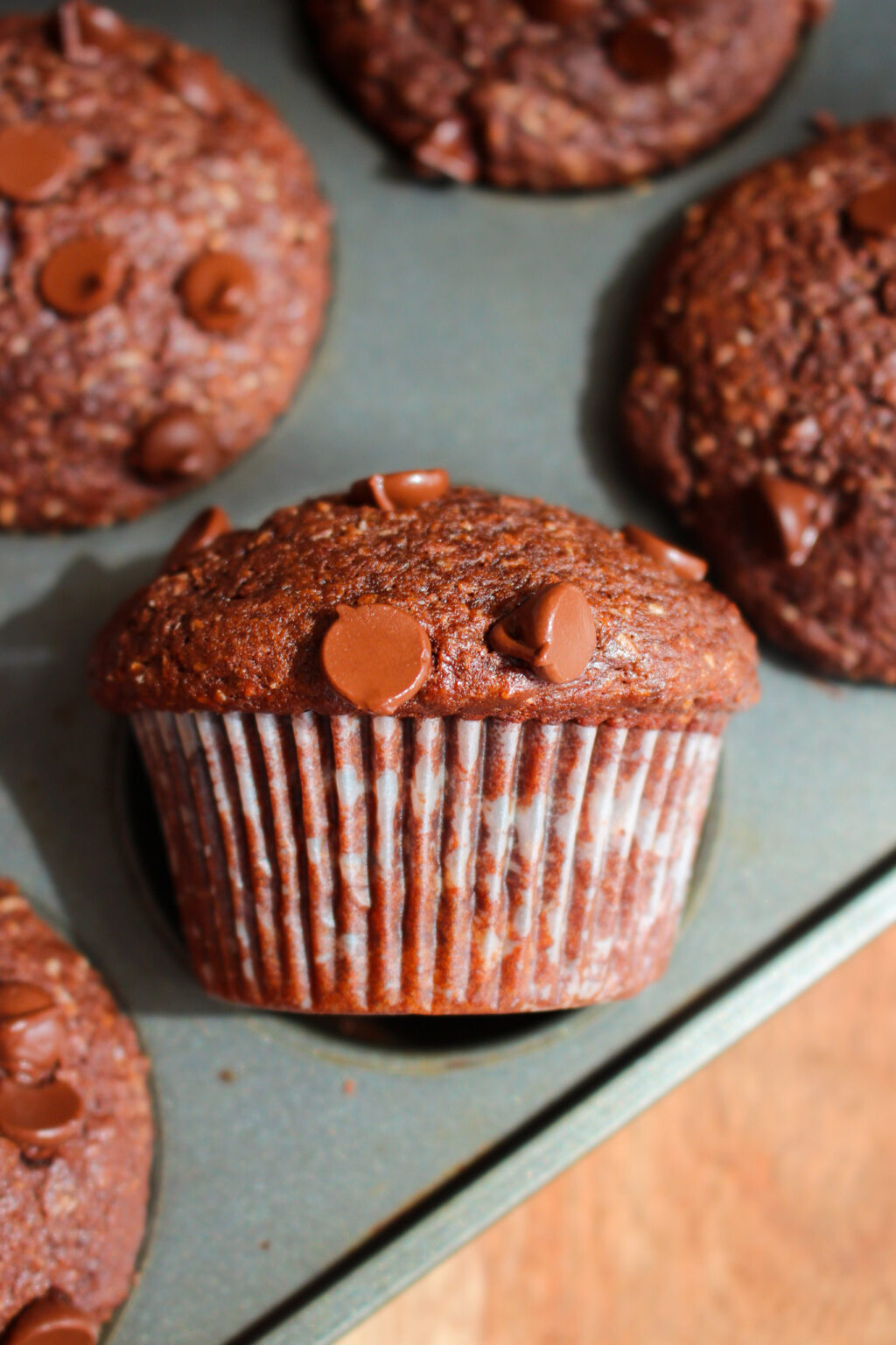 Coconut Chocolate Muffins - Taffey Bakery