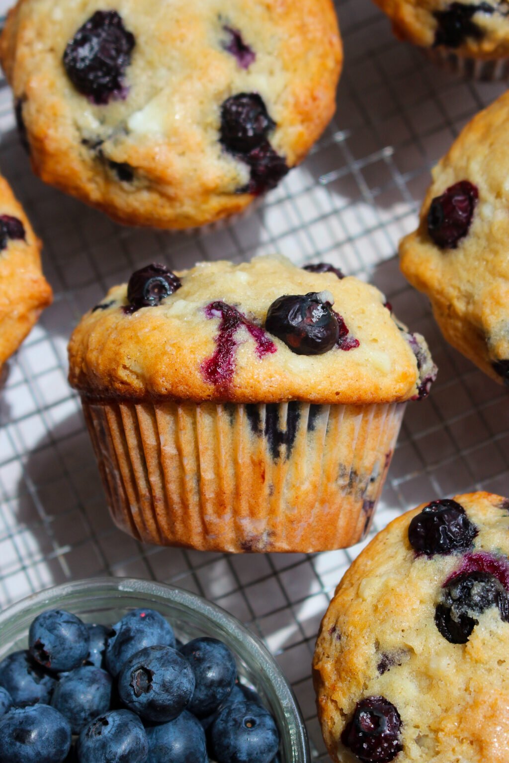 Blueberry Cottage Cheese Muffins - Taffey Bakery