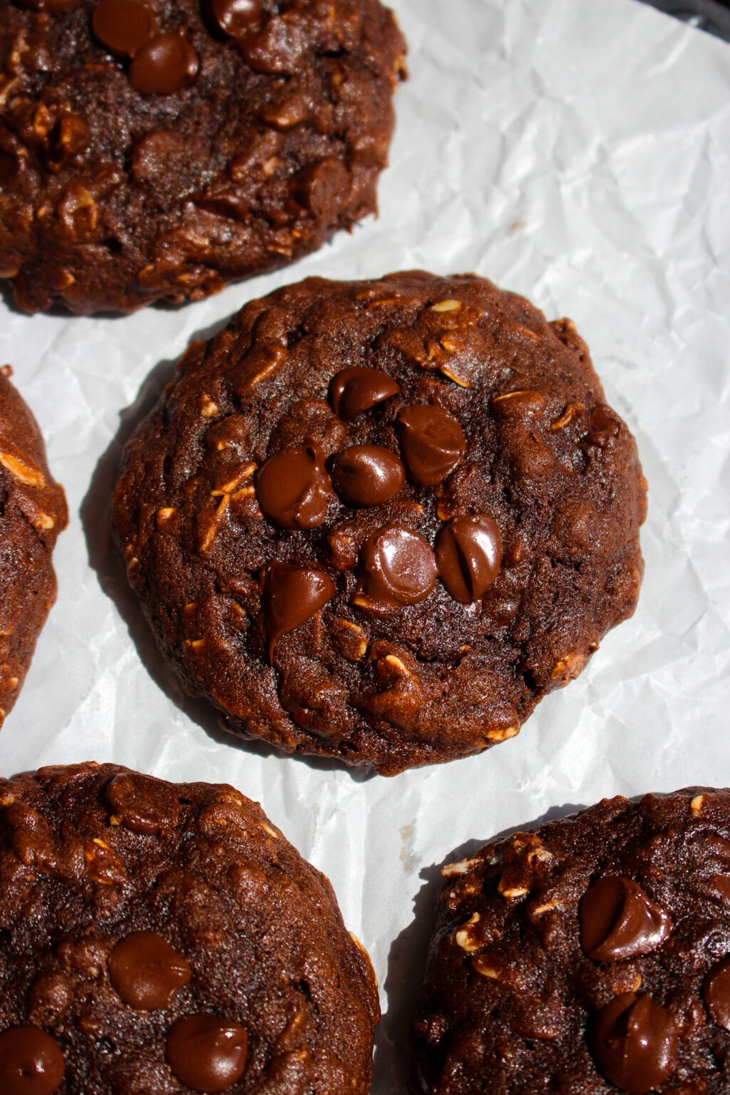 Maple Syrup Chocolate Chip Cookies - Taffey Bakery
