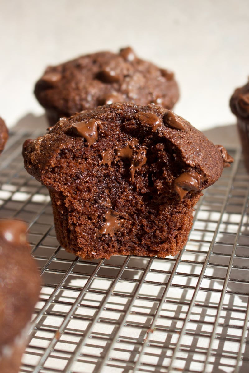Applesauce Chocolate Muffins - Taffey Bakery